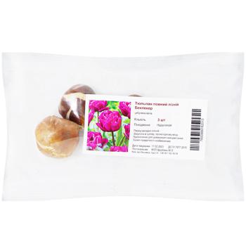 Backpacker Full Late Tulip 3pcs - order the best from Auchan